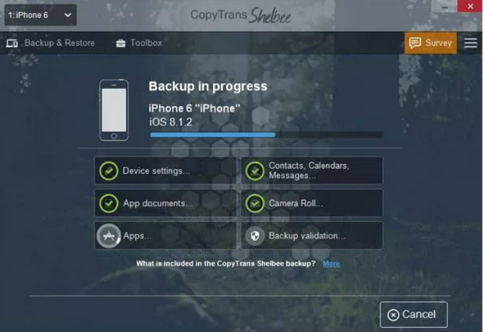 Top 10 iPad Backup Software [2026]